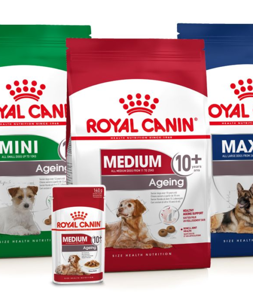 VITE ! DES NOUVEAUX ECHANTILLONS GRATUITS SAMPLER