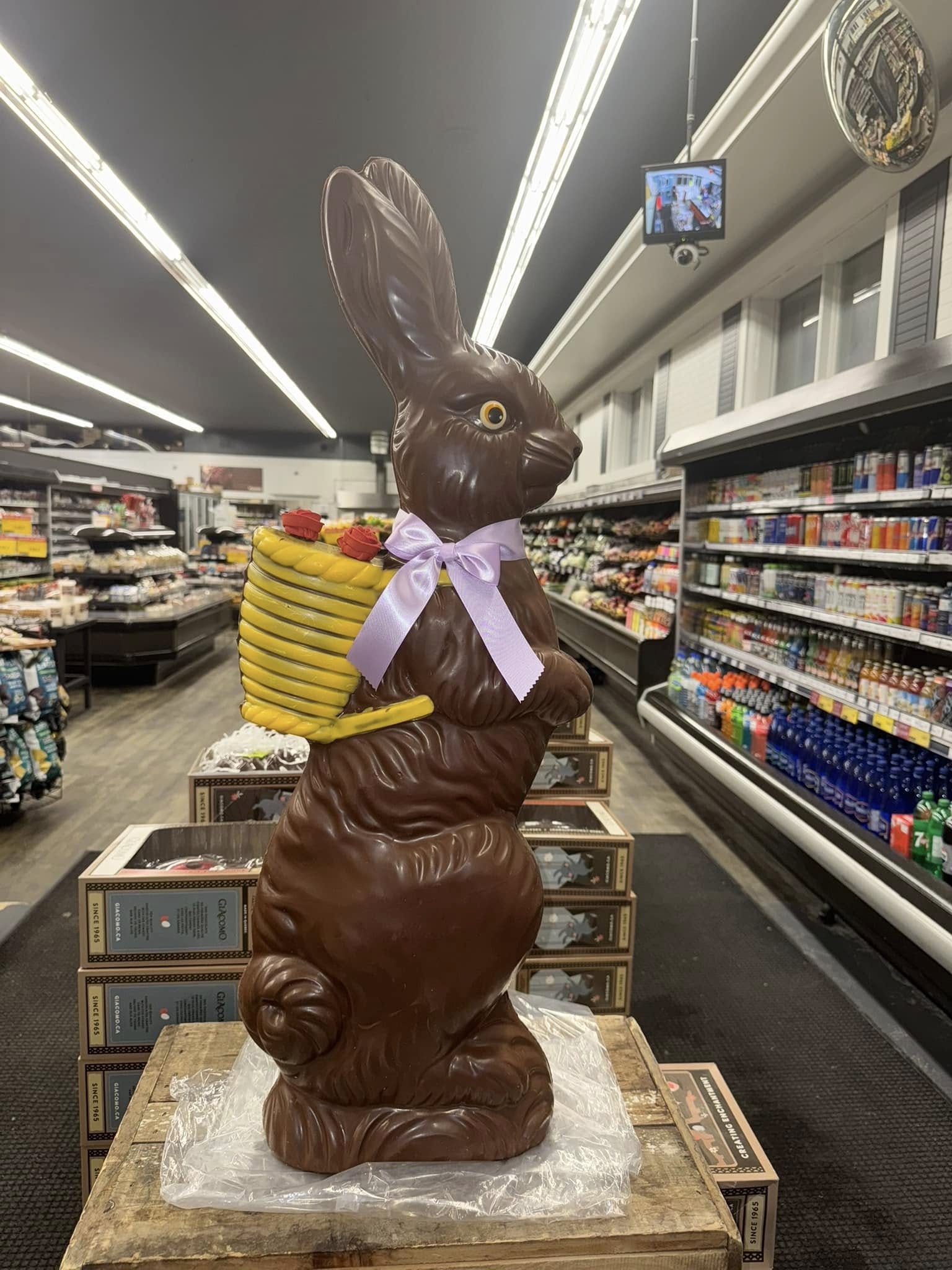 🎉 Grand Concours de Pâques : Remportez un Lapin en Chocolat Géant de 3 ...